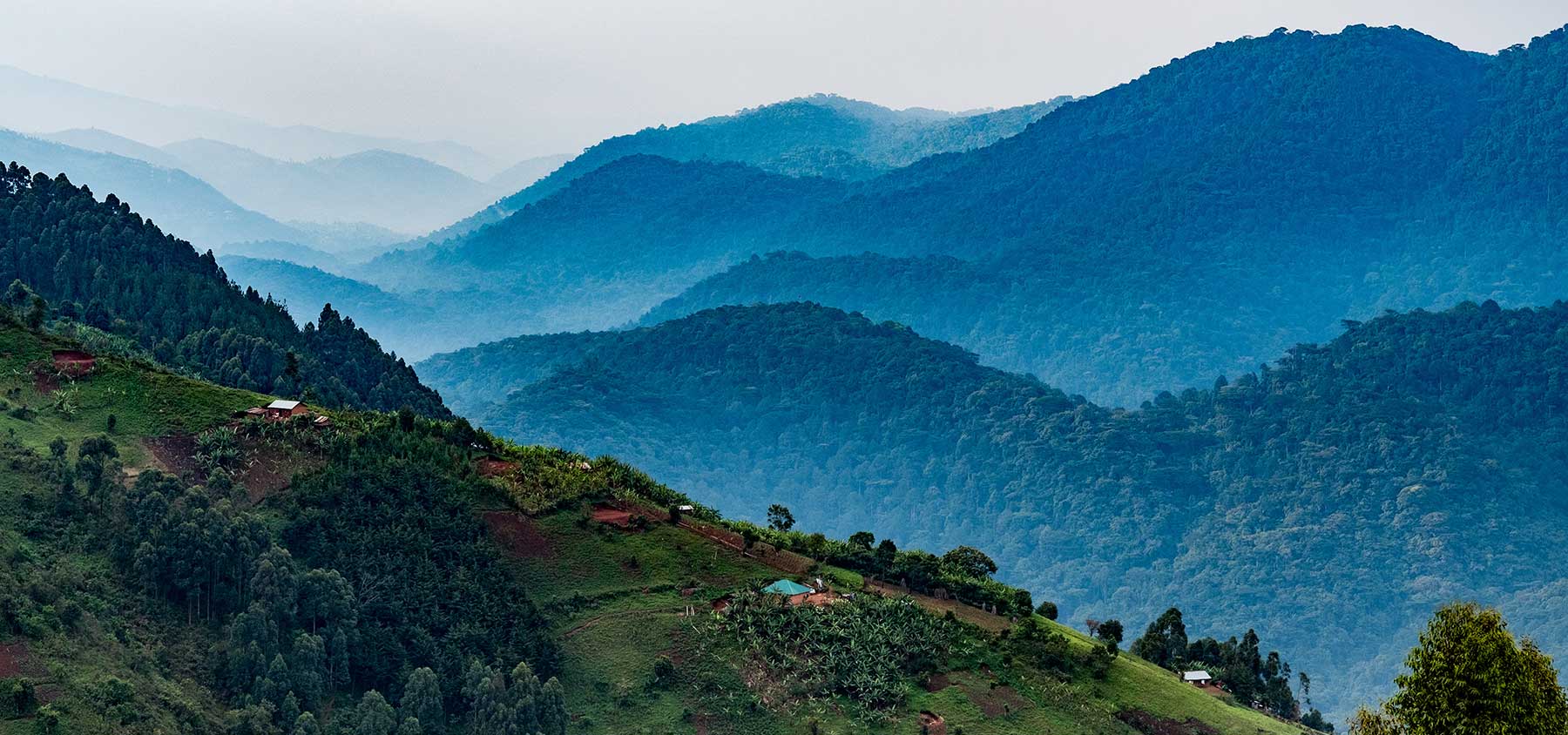 Uganda - Safari Destination For Legends